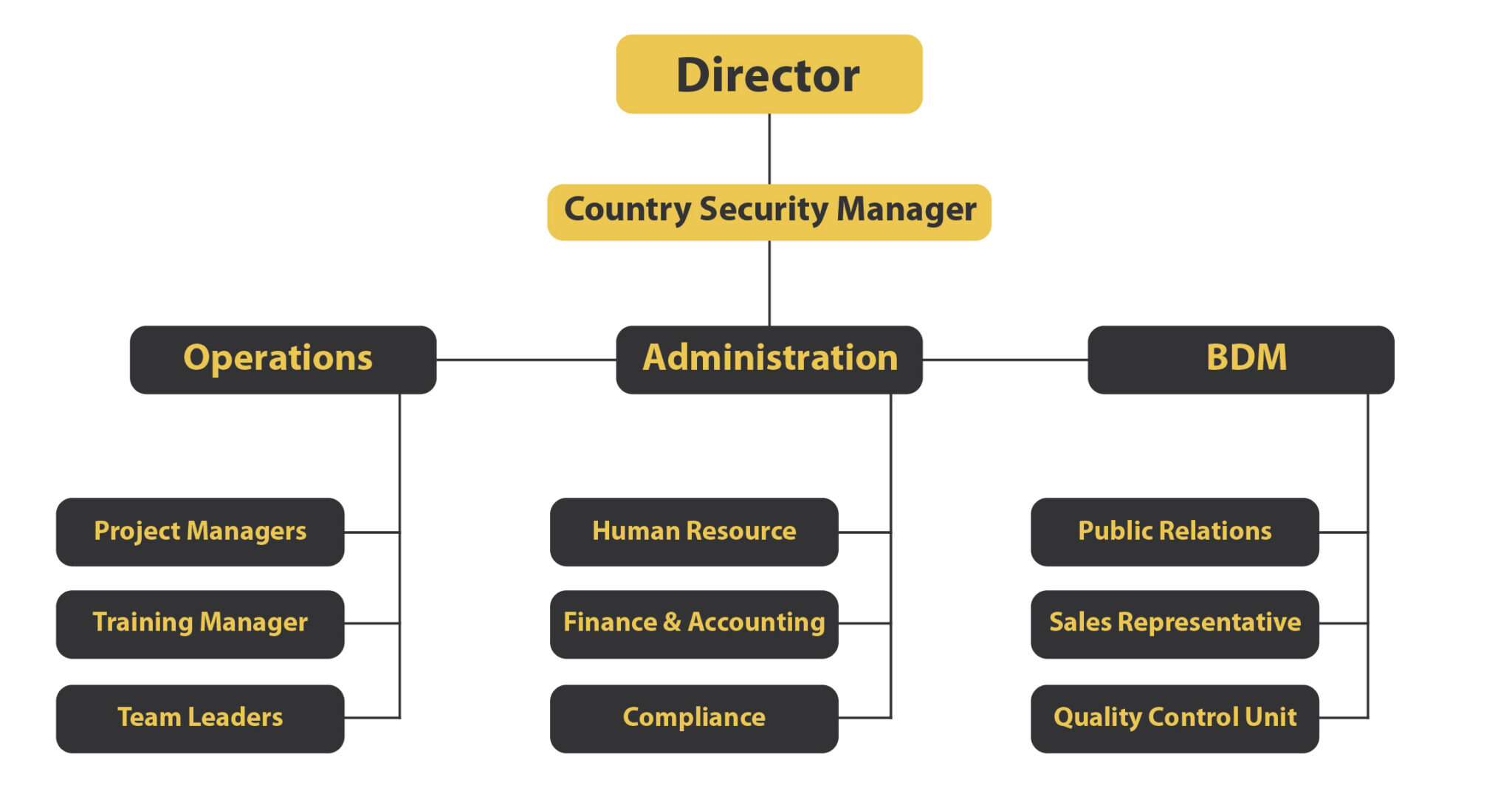 Larsa Security Services